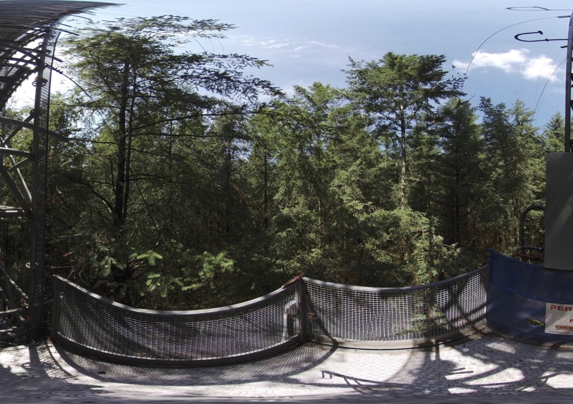 Think Outside the Books - LLInC