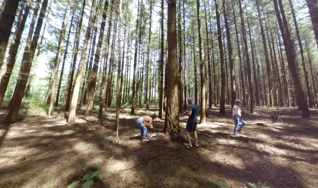 Remote Sensing: VR for environmental sciences education - LLInC