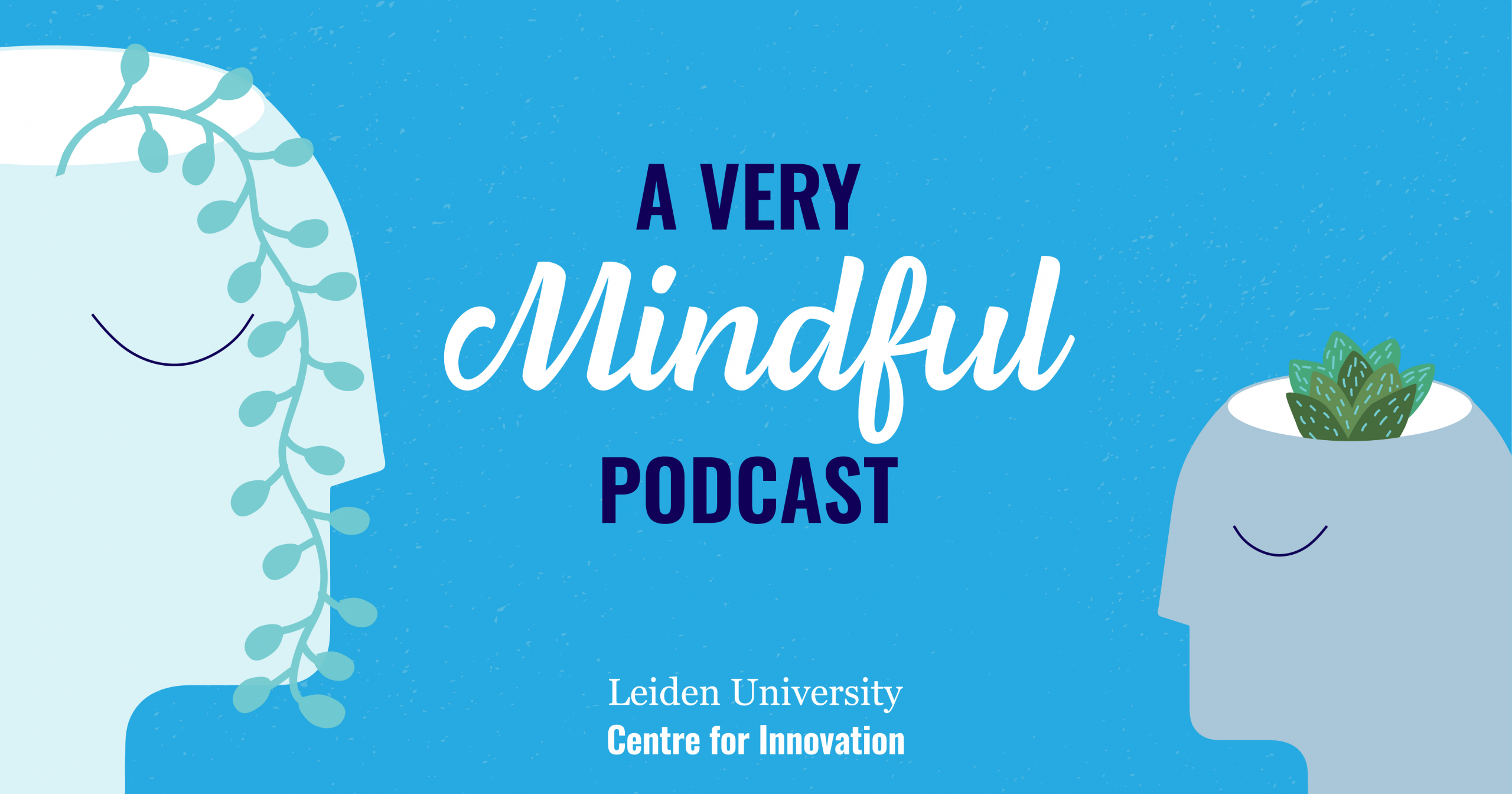 New: A Very Mindful Podcast - LLInC